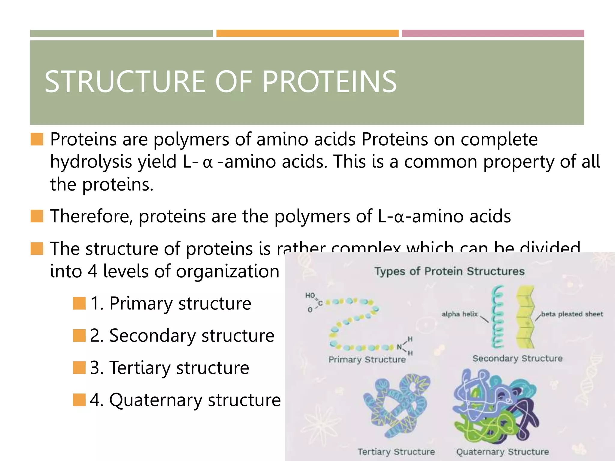 Biomolecules Proteins and Amino Acids.pptx