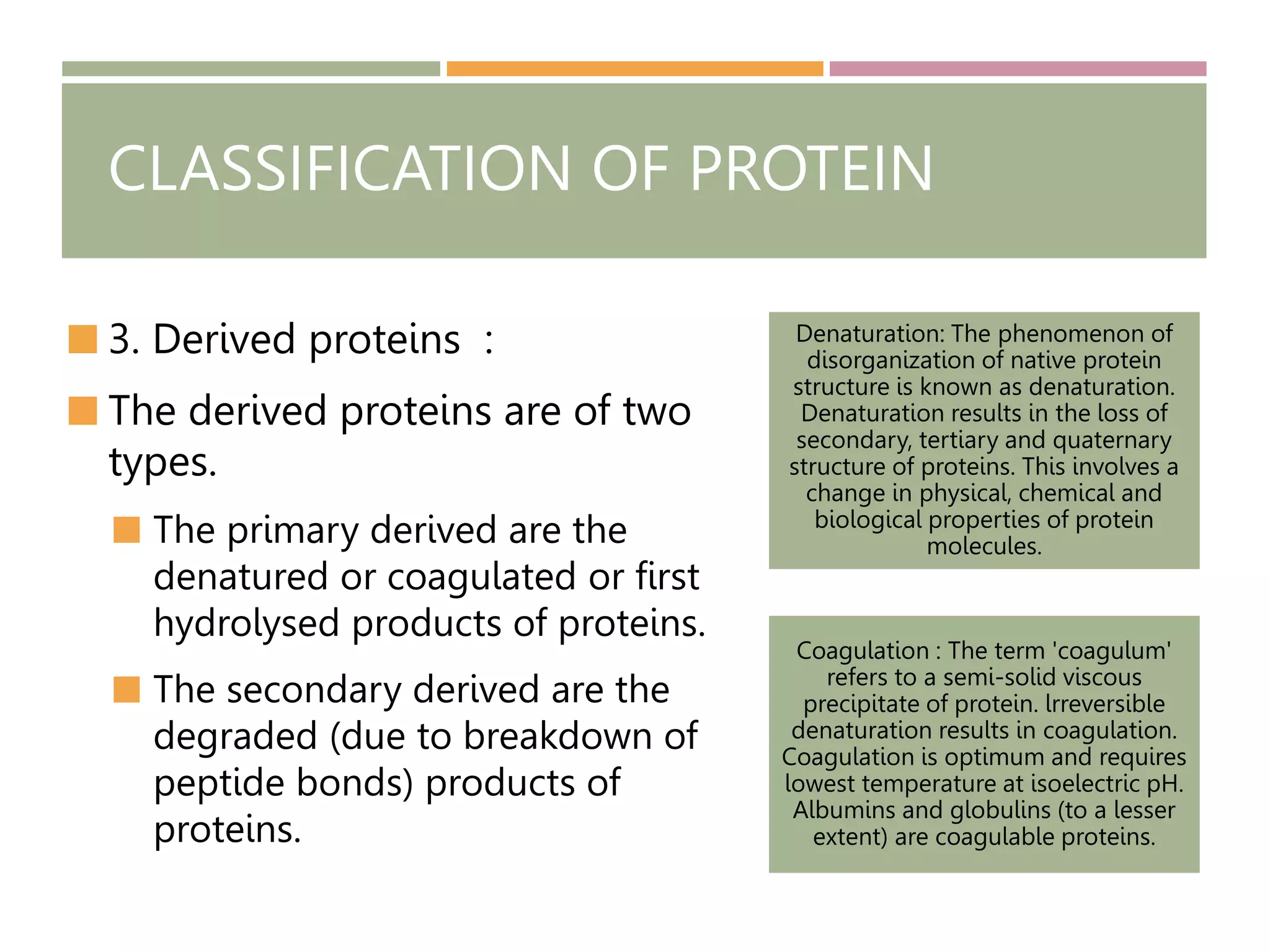 Biomolecules Proteins and Amino Acids.pptx