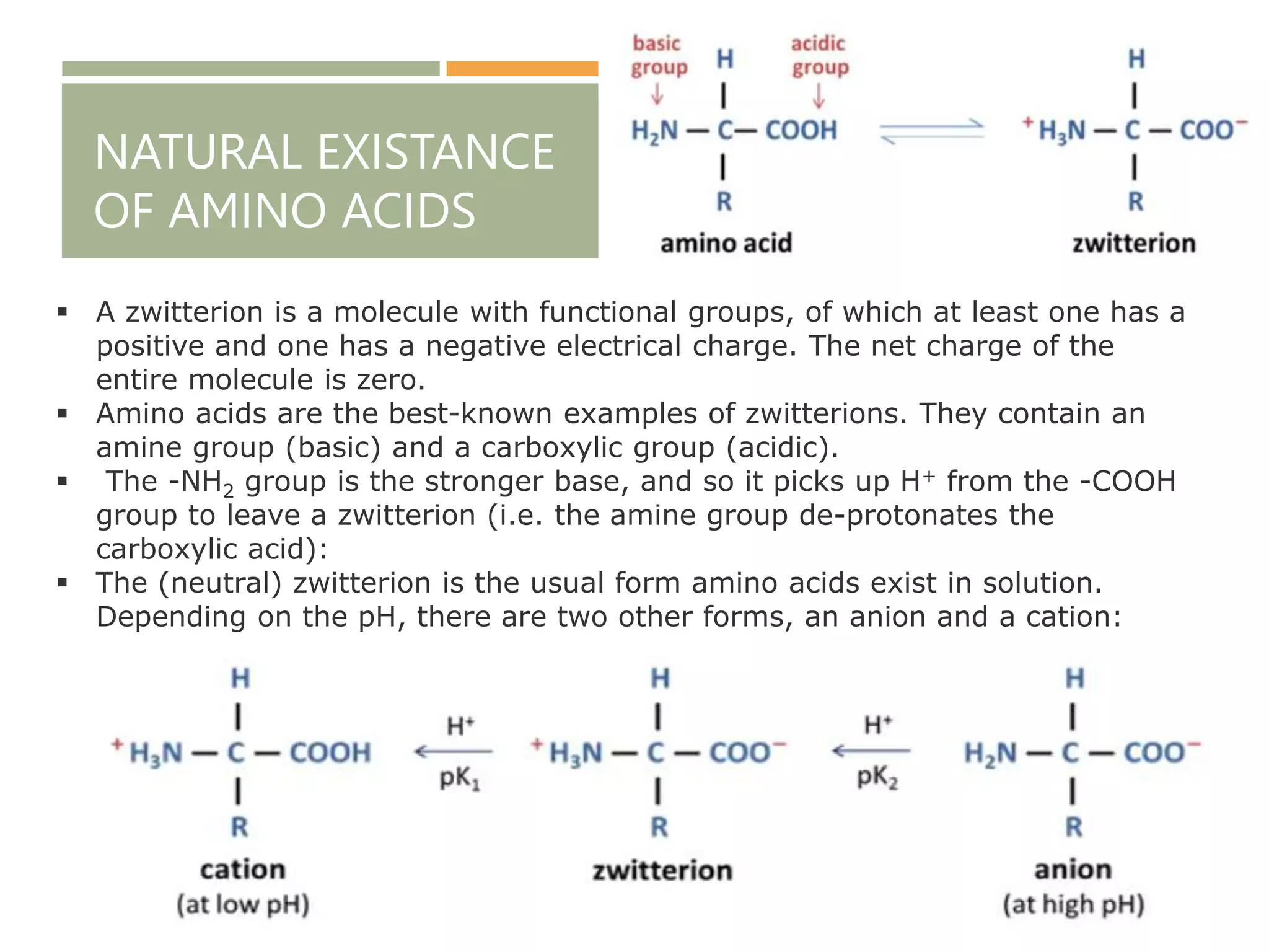 Biomolecules Proteins and Amino Acids.pptx