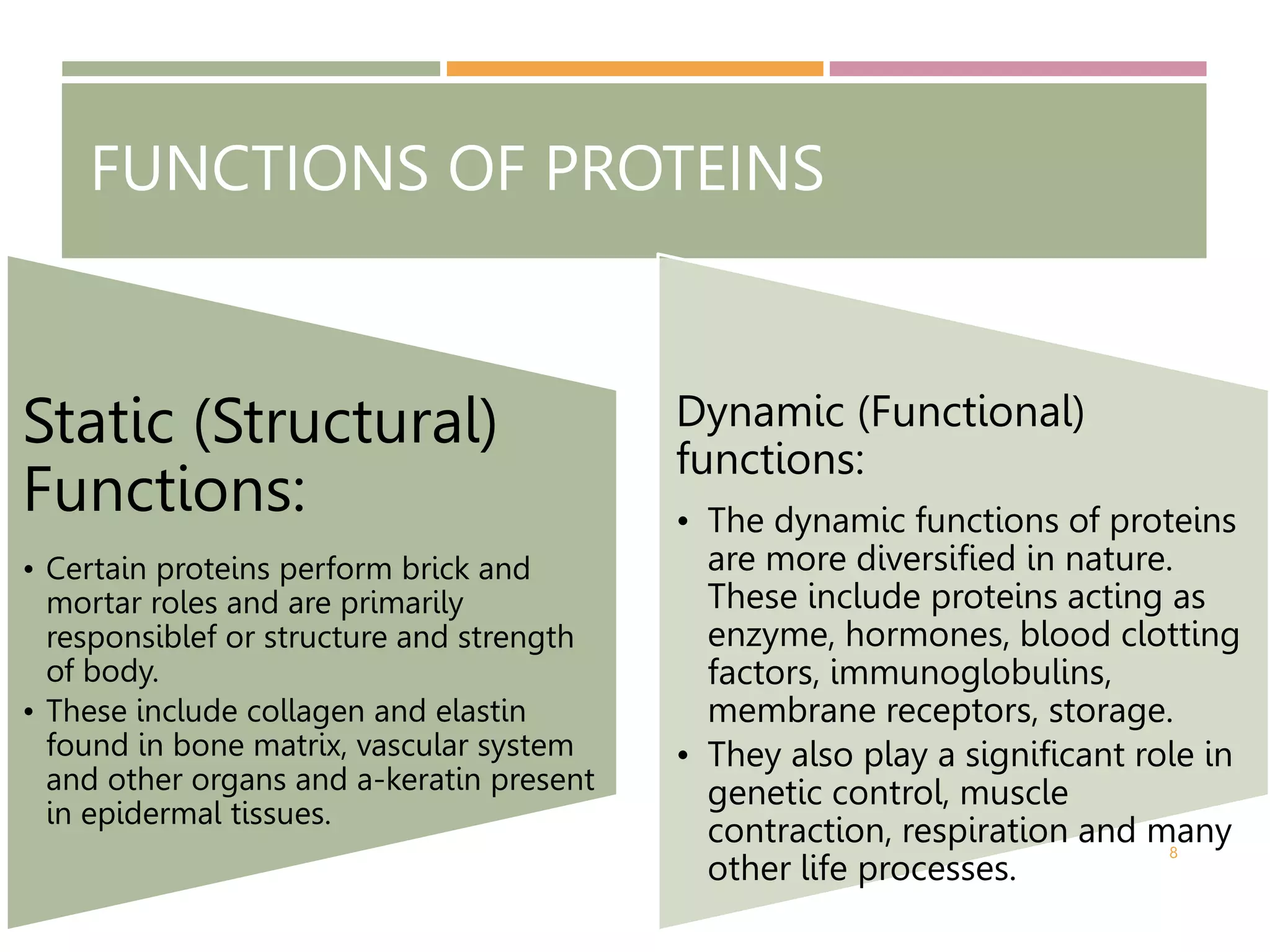 Biomolecules Proteins and Amino Acids.pptx
