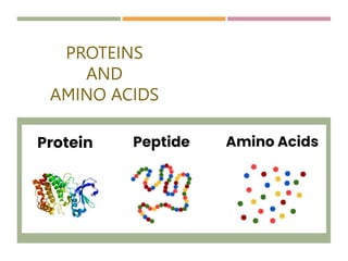 Biomolecules Proteins and Amino Acids.pptx