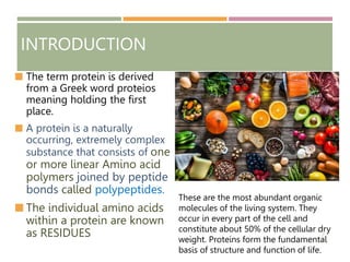 Biomolecules Proteins and Amino Acids.pptx