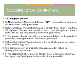 Biomolecules Proteins and Amino Acids.pptx
