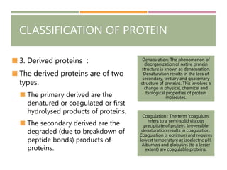 Biomolecules Proteins and Amino Acids.pptx