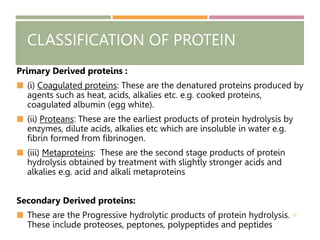 Biomolecules Proteins and Amino Acids.pptx