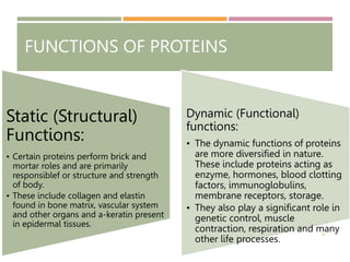 Biomolecules Proteins and Amino Acids.pptx