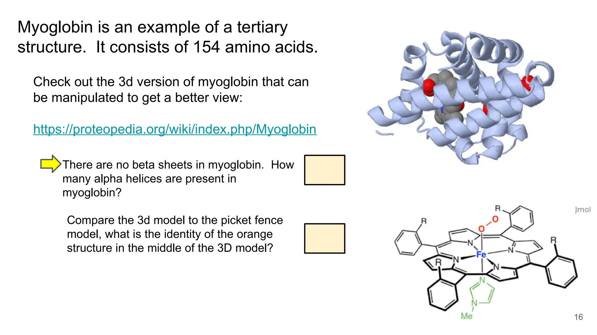Biomolecules_ Proteins (Guided Learning).pptx