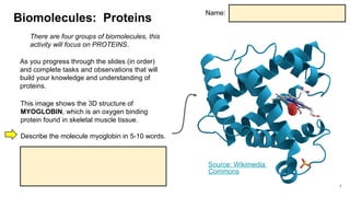 Biomolecules_ Proteins (Guided Learning).pptx