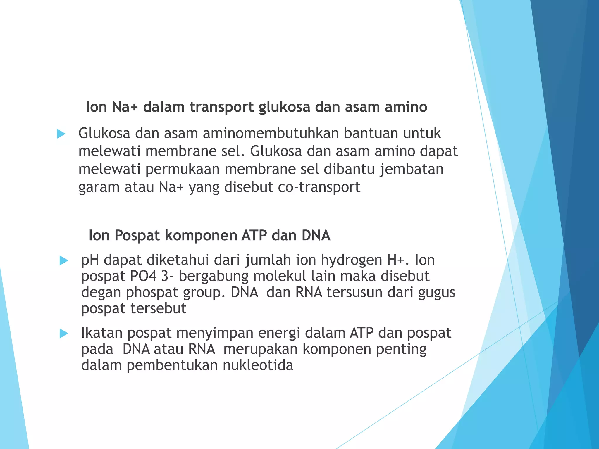 Biomolekul air, ATP, Ion anorganik | PPTX