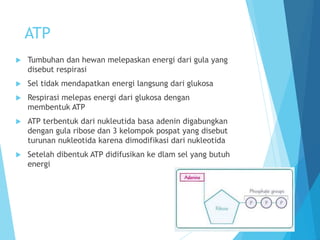 Biomolekul air, ATP, Ion anorganik | PPT