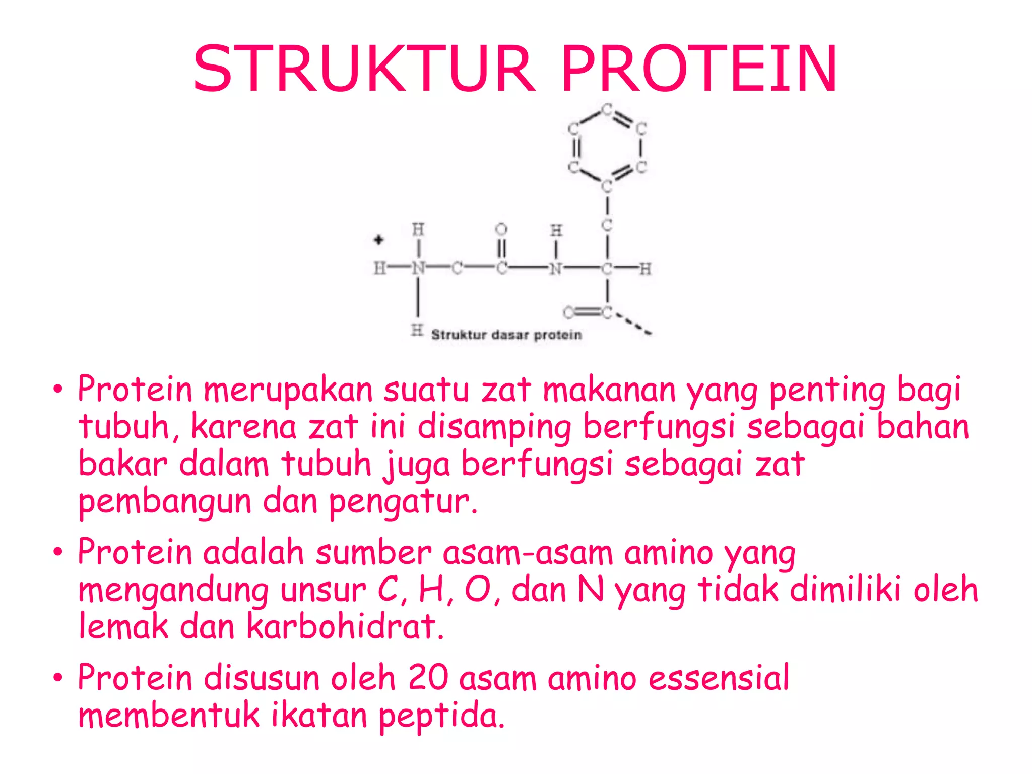 DASAR DASAR BIOMOLEKULER | PPTX