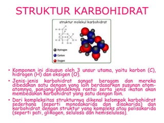 DASAR DASAR BIOMOLEKULER | PPTX