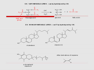 Biomolekul ppt | PPT