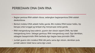 BIOMOLEKUL asam amino.pptx