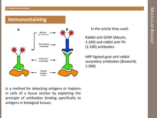 Seminario Biologia Molecular Pedro Sánchez | PPT