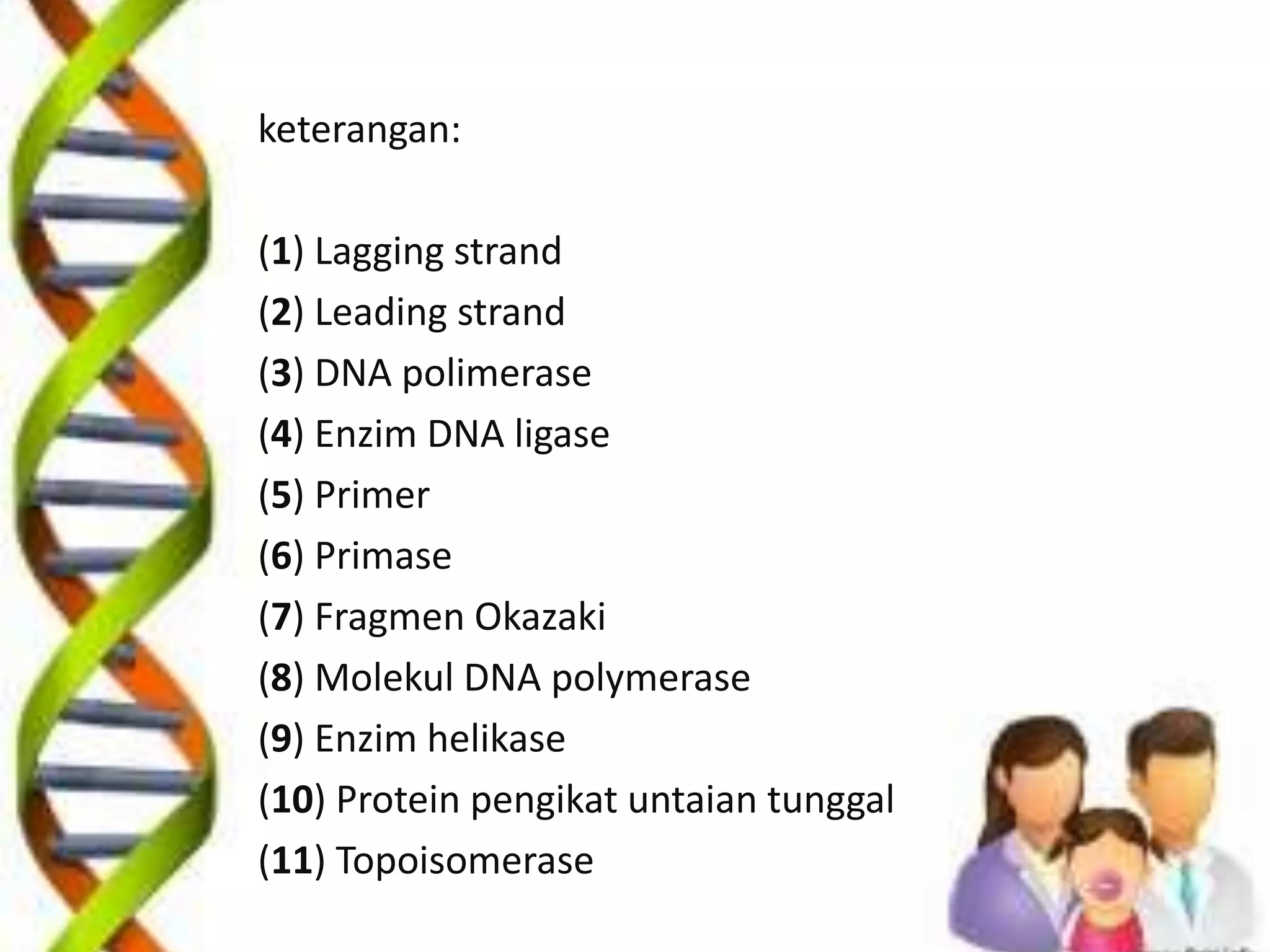 biologi molekuler replikasi dna | PDF