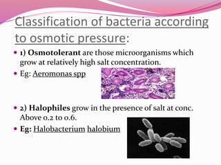 Pressure and salt concentration | PPTX