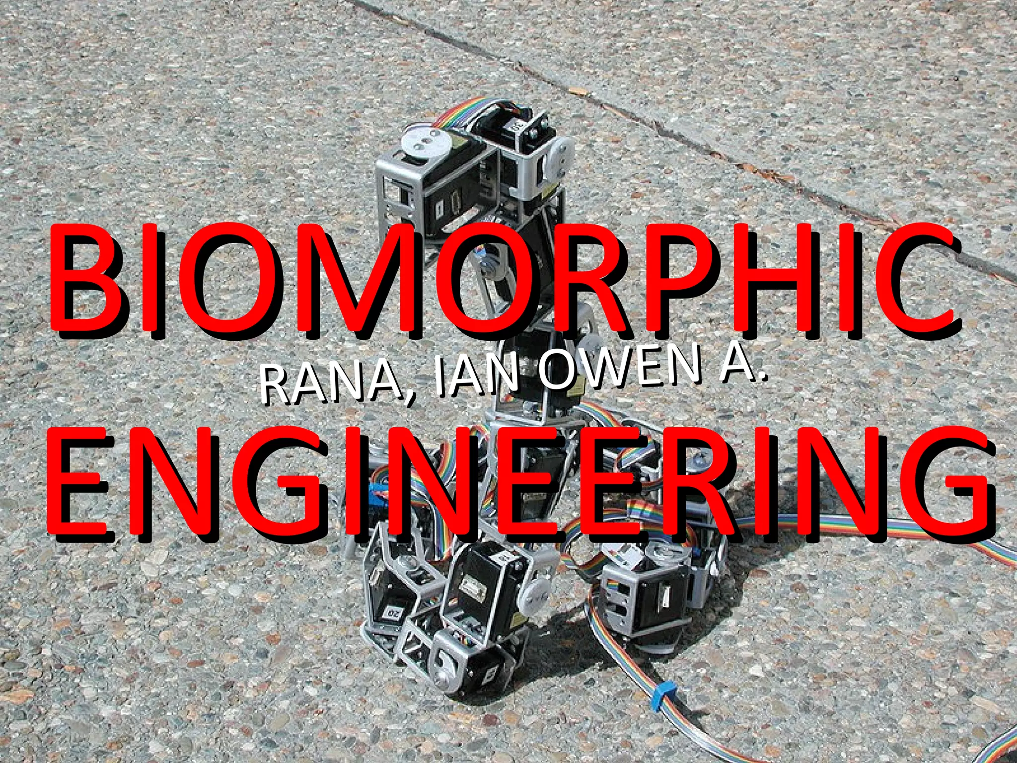 Biomorphic Engineering | ODP