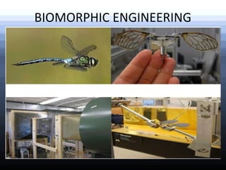Biomorphic Engineering | ODP