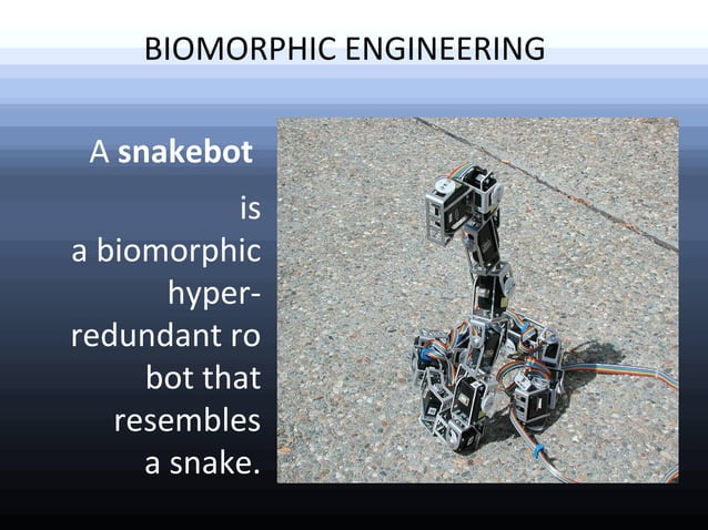 Biomorphic Engineering | ODP | Robotics | Technology & Computing