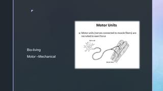 BIO MOTOR FOR YOGA AND THEIR METHOD TO [Autosaved].pptx