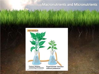 Bio movie chapter 37 | PPT