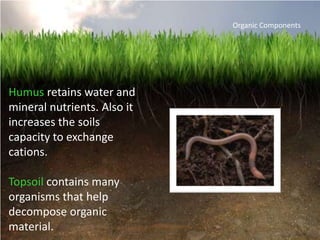 Bio movie chapter 37 | PPT