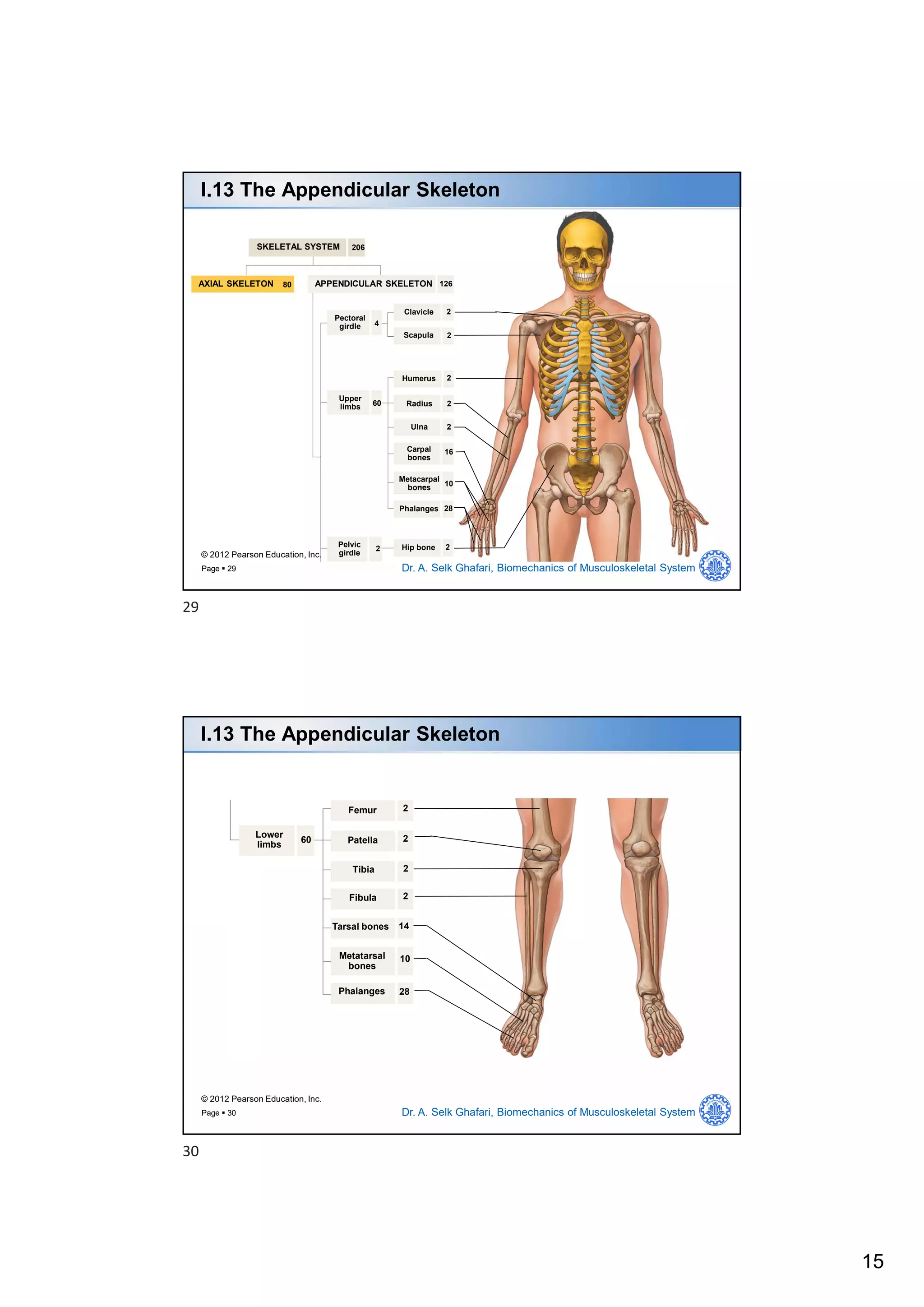 Dr. Ali Selk Ghafari: Biomechanics of Musculoskeletal System ...