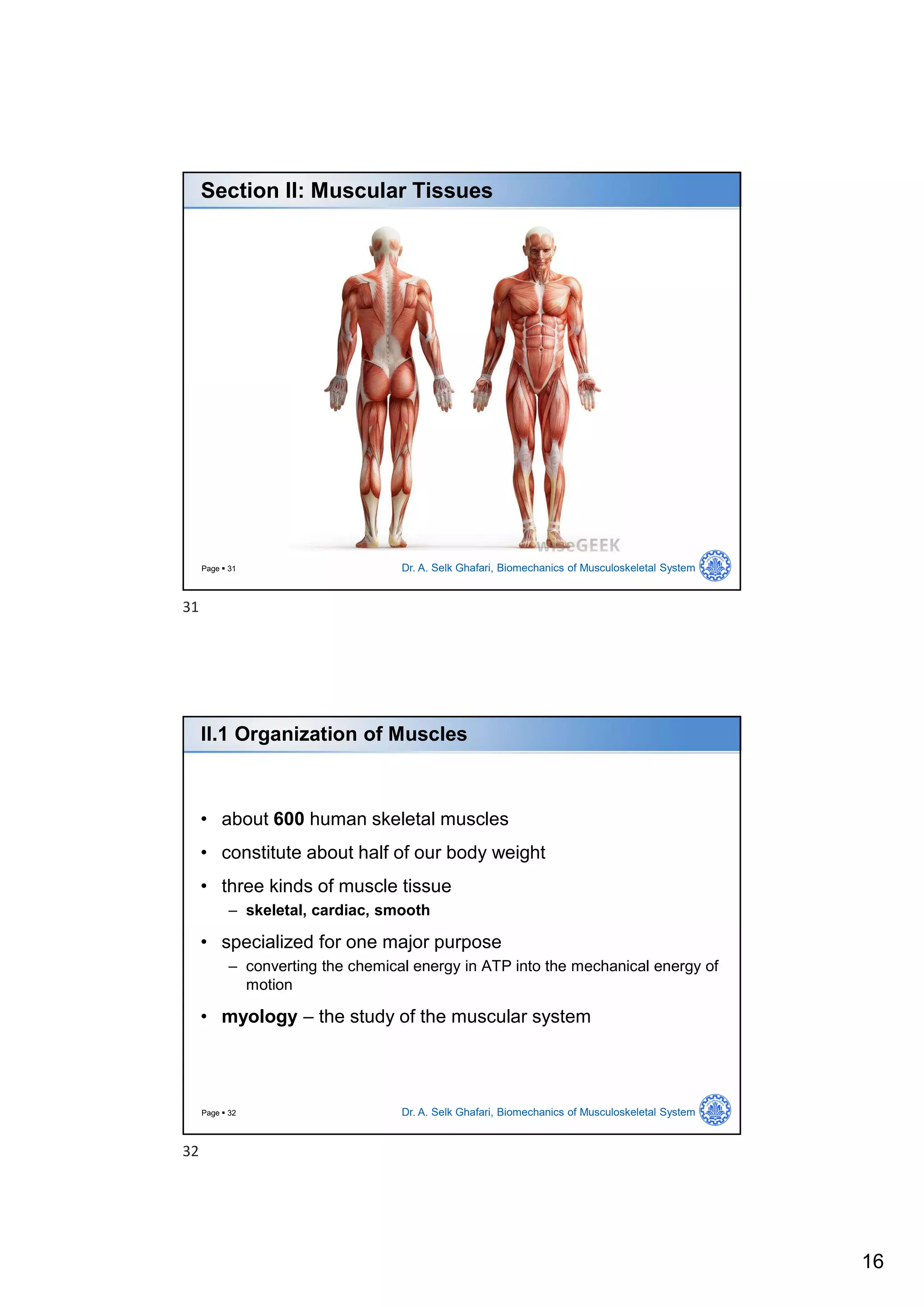 Dr. Ali Selk Ghafari: Biomechanics of Musculoskeletal System ...