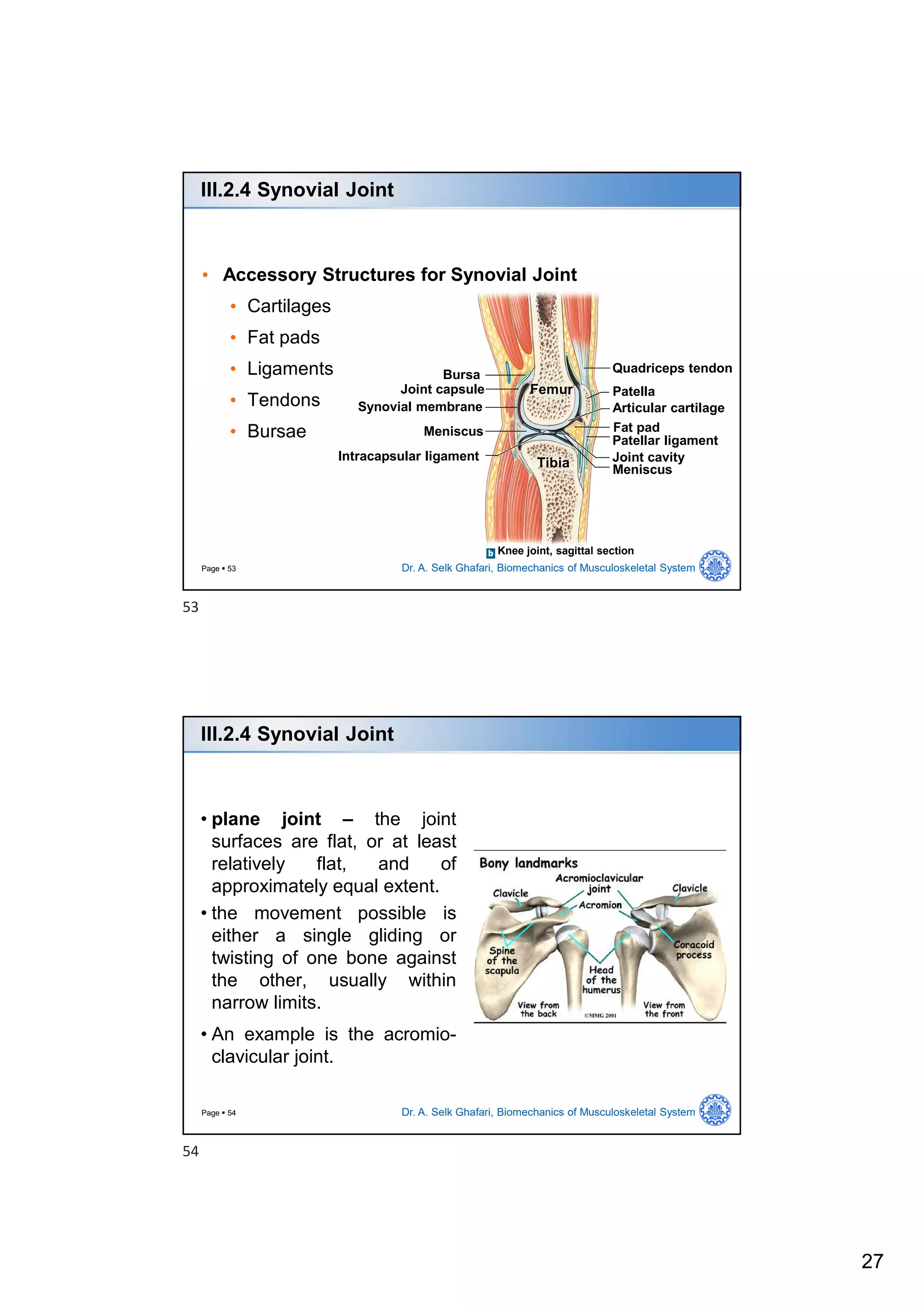 Dr. Ali Selk Ghafari: Biomechanics of Musculoskeletal System ...