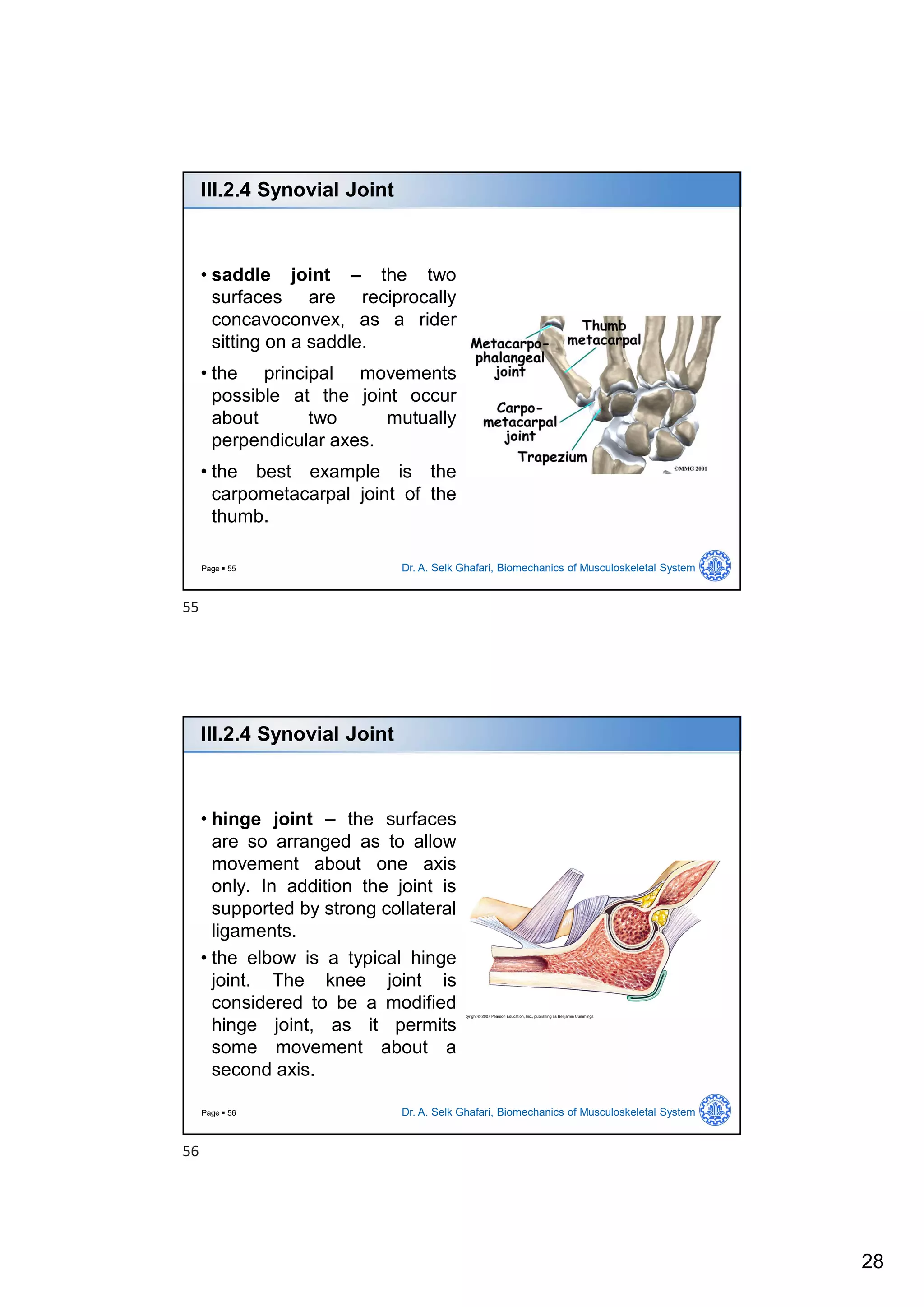 Dr. Ali Selk Ghafari: Biomechanics of Musculoskeletal System ...