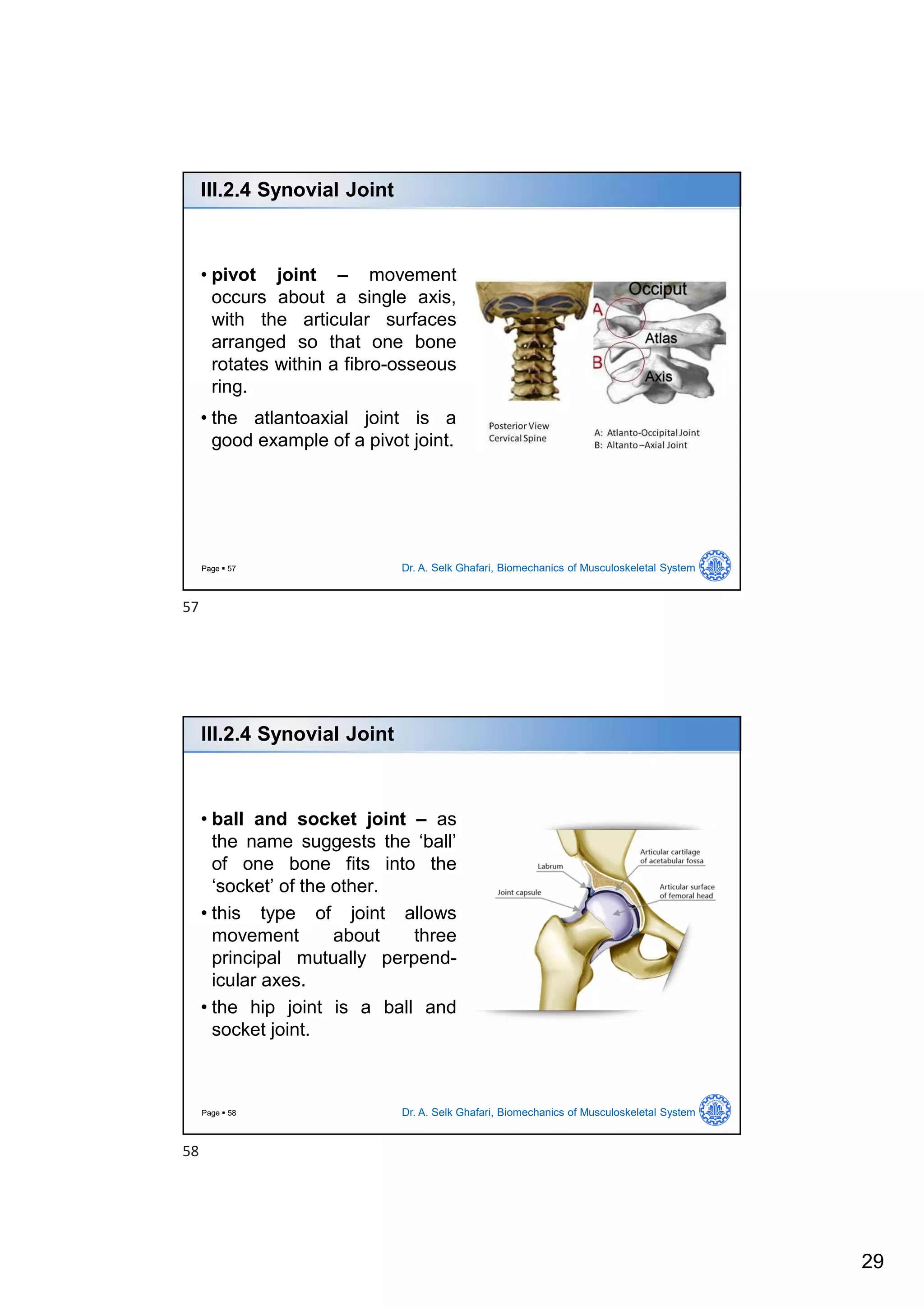 Dr. Ali Selk Ghafari: Biomechanics of Musculoskeletal System ...