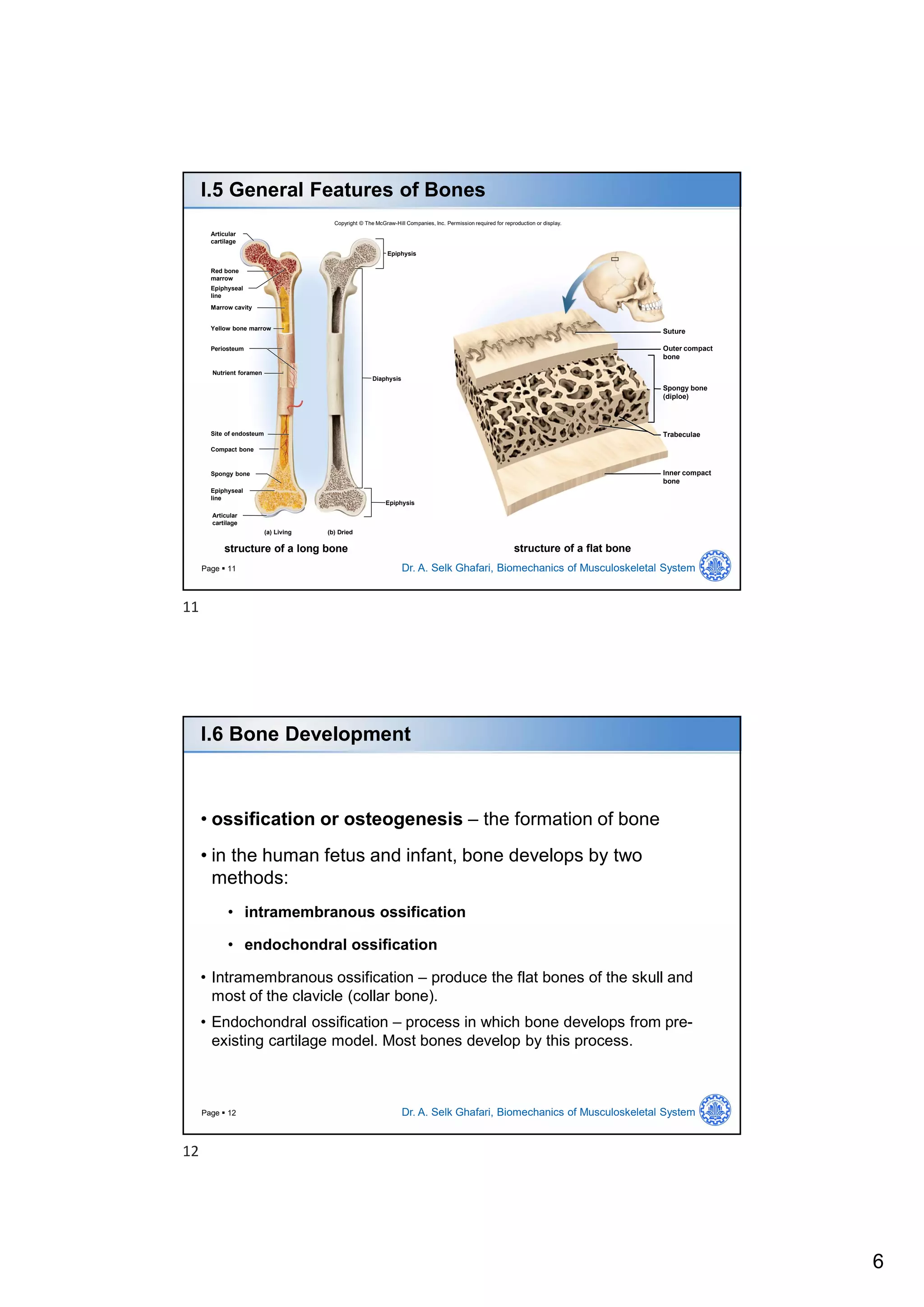 Dr. Ali Selk Ghafari: Biomechanics of Musculoskeletal System ...