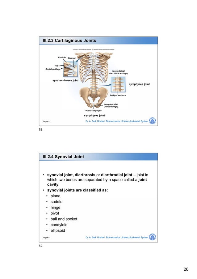 Dr. Ali Selk Ghafari: Biomechanics of Musculoskeletal System ...