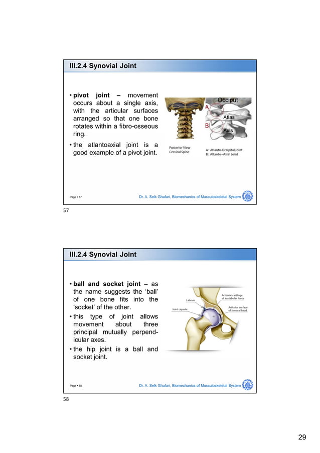 Dr. Ali Selk Ghafari: Biomechanics of Musculoskeletal System ...