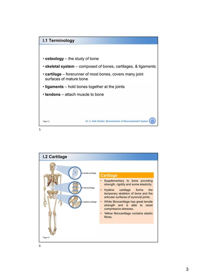 Dr. Ali Selk Ghafari: Biomechanics of Musculoskeletal System ...
