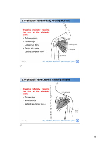 Dr. Ali Selk Ghafari: Biomechanics of Musculoskeltal System: Shoulder ...