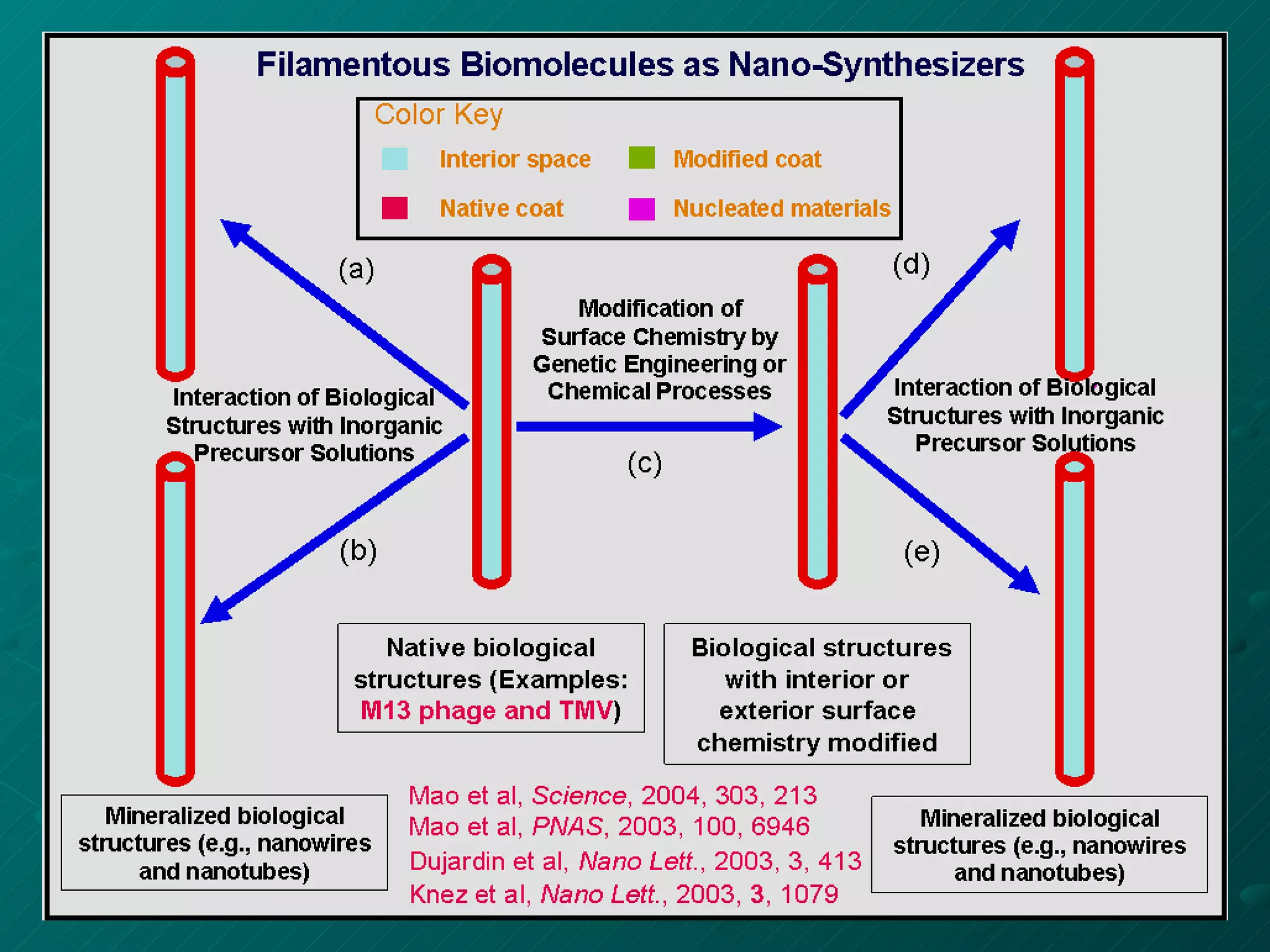 Bio Nanocomposite Material Presentation | PPT