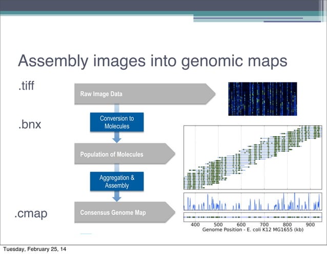 Bionano genome maps_feb2014 | PPT