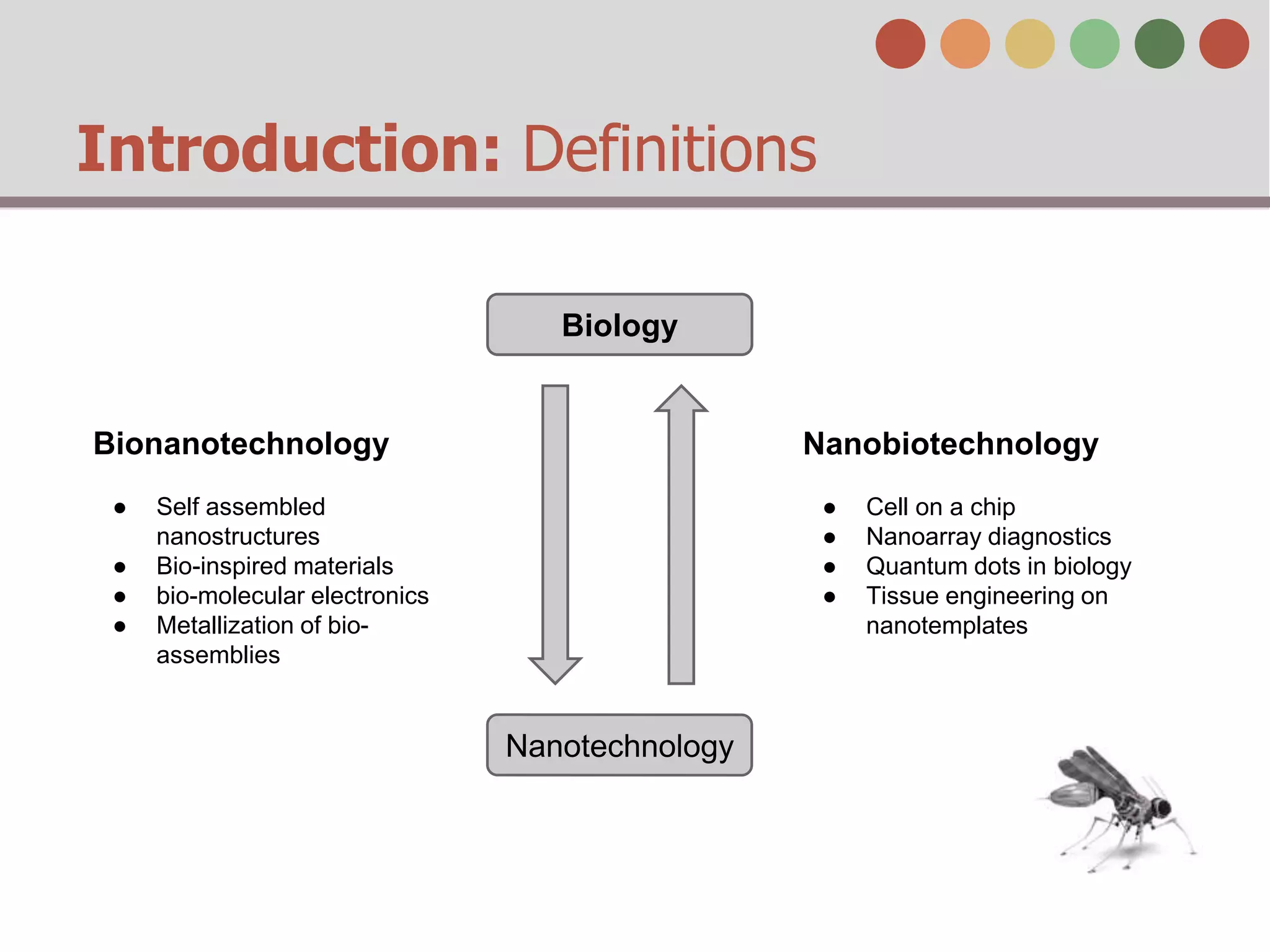 Bionanotechnology | PPTX