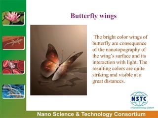 Bionanotechnology from nature | PPTX
