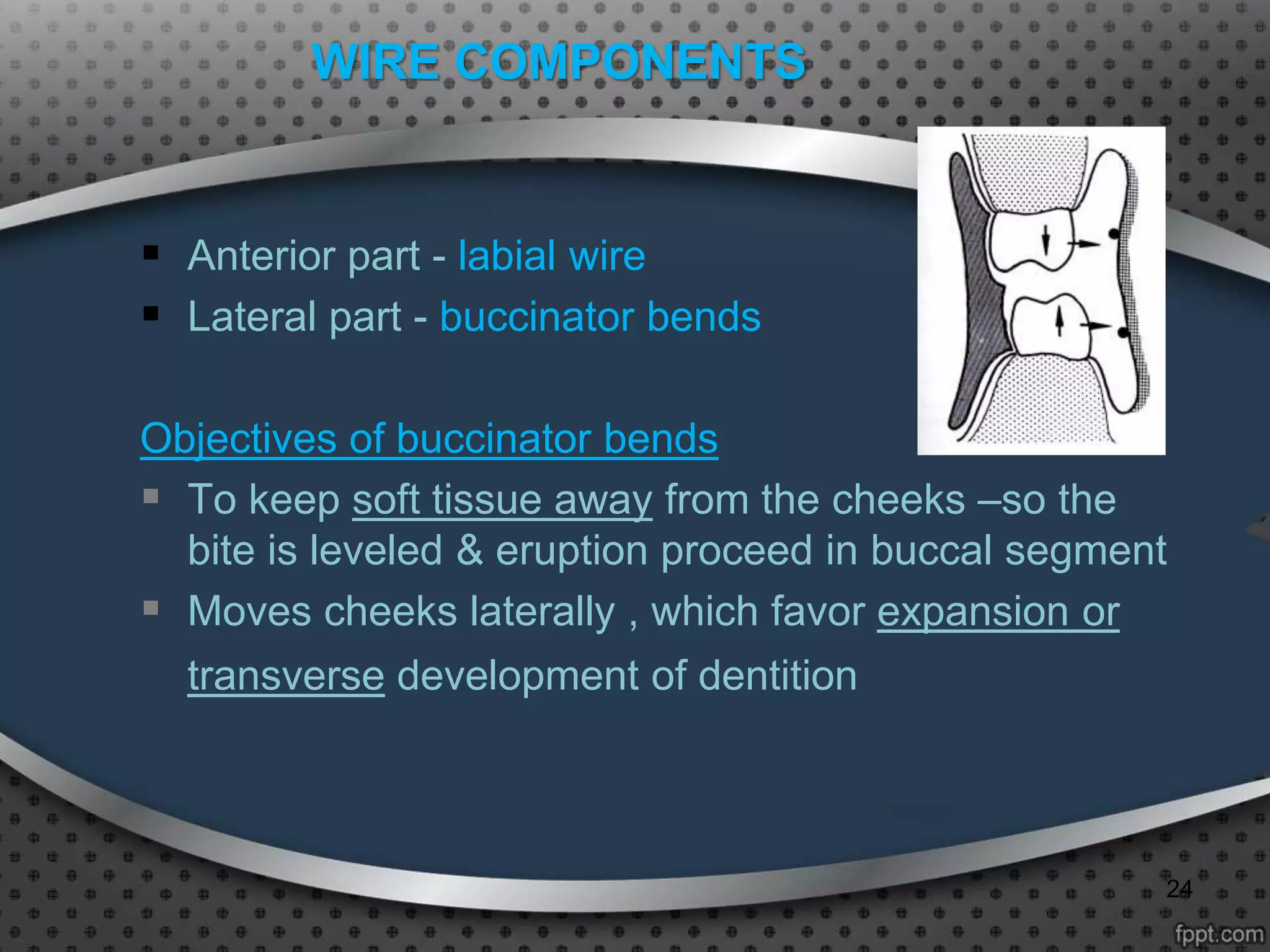 Bionator | PPT