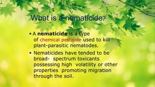 Bionemadicide,microbial hericide | PPT