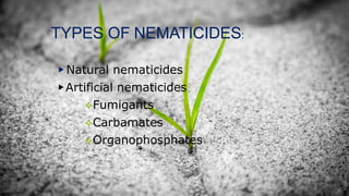 Bionemadicide,microbial hericide | PPT