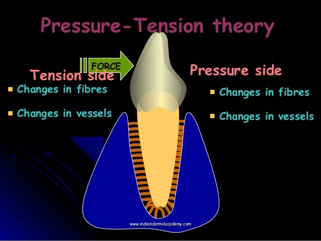 Biology of tooth movement
