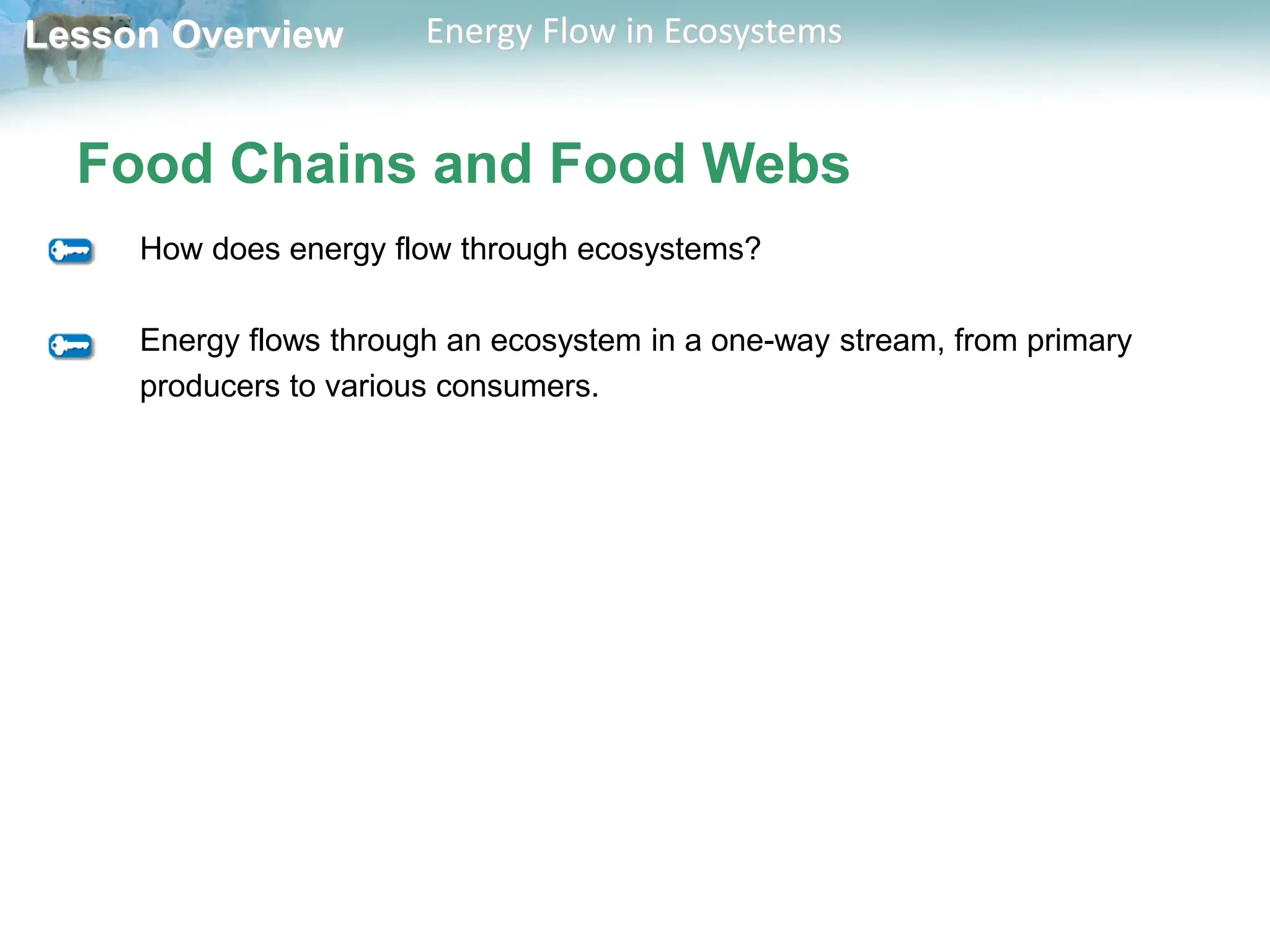 Energy flow in an ecosystem, exolained in detsil with diagrams briefly.pdf