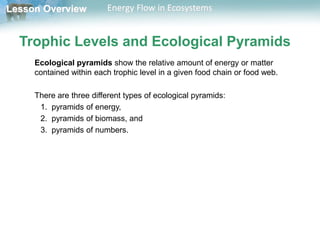 Energy flow in an ecosystem, exolained in detsil with diagrams briefly.pdf
