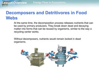 Energy flow in an ecosystem, exolained in detsil with diagrams briefly.pdf