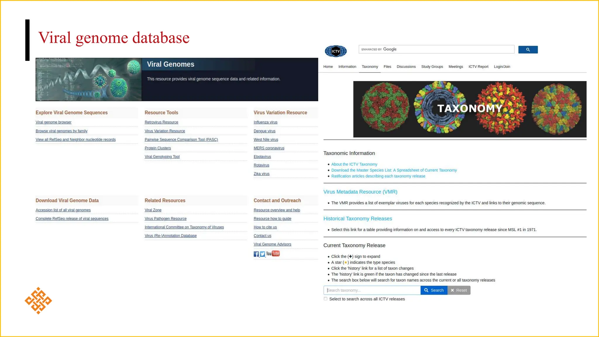 Bioinformatics Algorithms And Its Basics Ppt