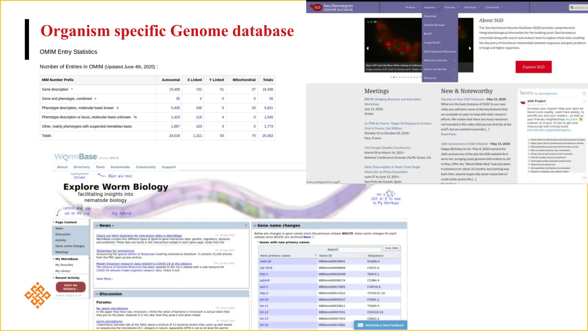 Bioinformatics Algorithms And Its Basics Ppt
